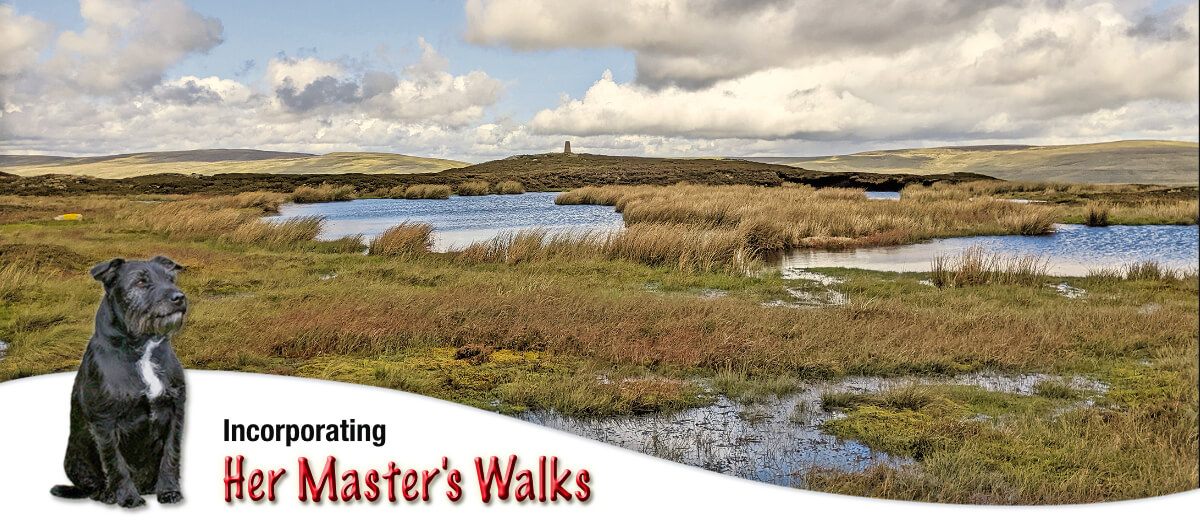 Walks in Teesdale: Middleton-in-Teesdale to Coldberry Gutter